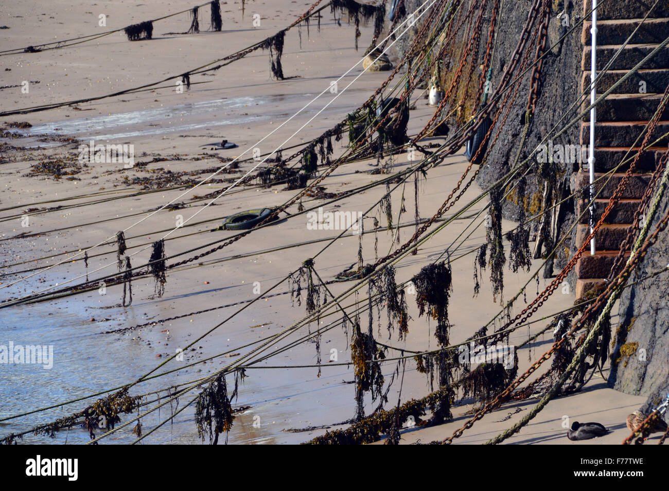 Mooring ropes hi-res stock photography and images - Alamy