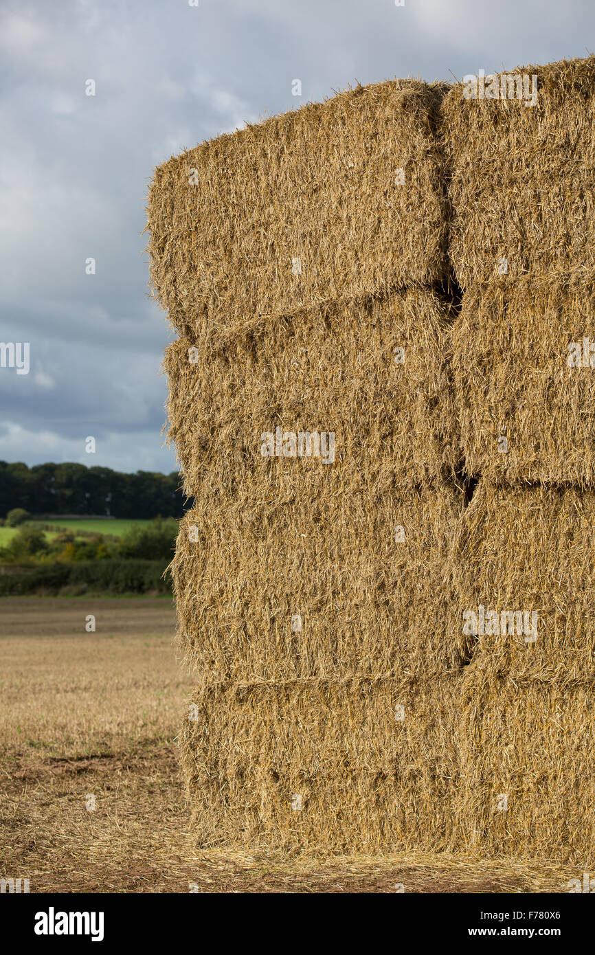 Hay bales stacked ready for farming Stock Photo - Alamy