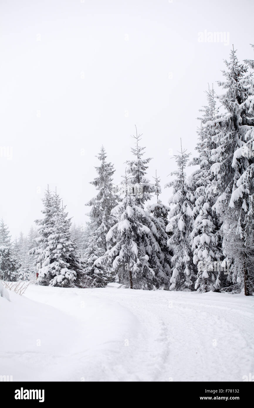 Snowy path in the winter landscape Stock Photo - Alamy