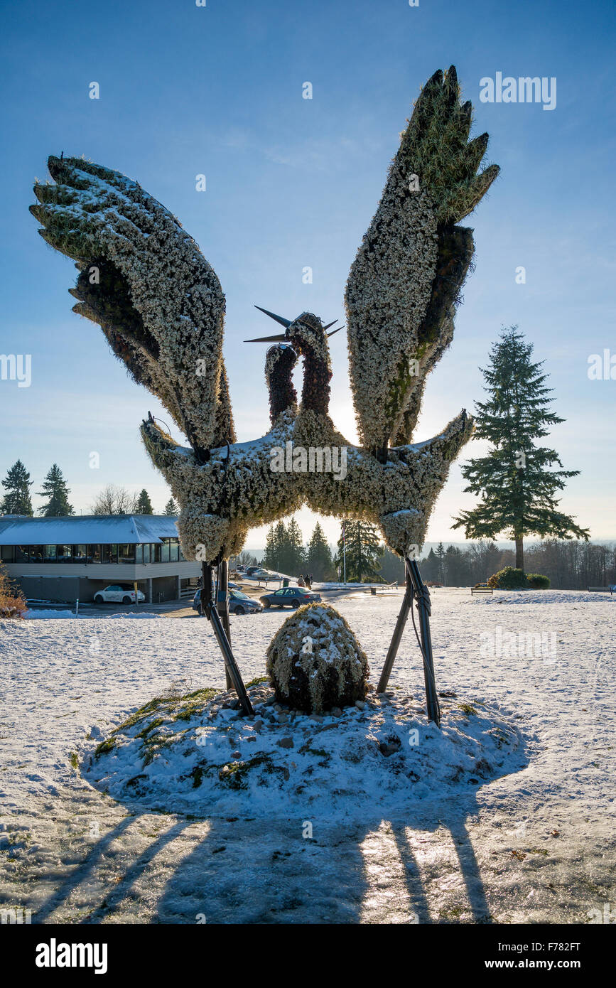Burnaby mountain winter winter birds garden display peace hi-res stock ...