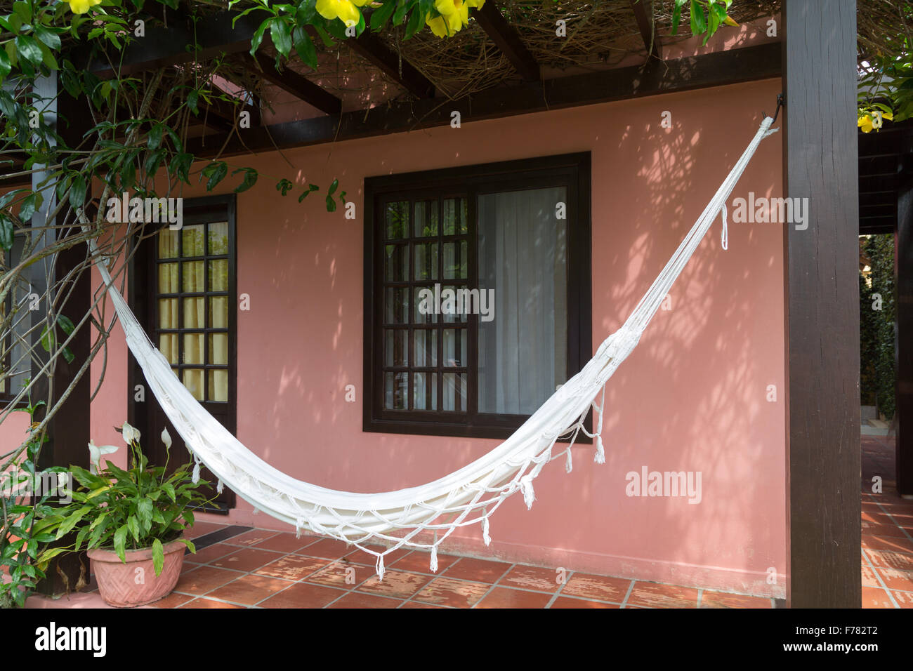White hammock in a shady golden trumpet (Allamanda cathartica) vine ...