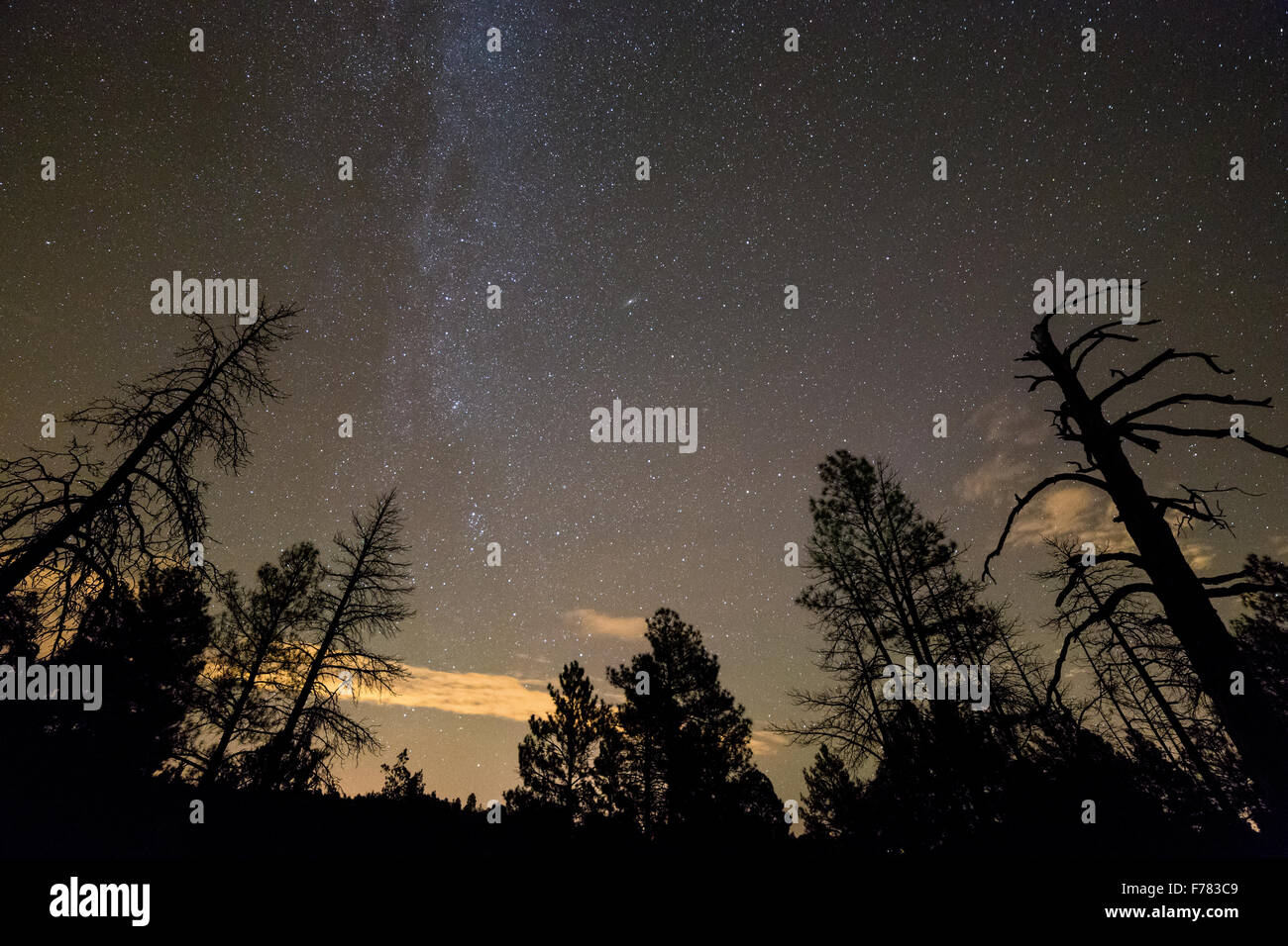 New mexico night sky milky way hi-res stock photography and images - Alamy