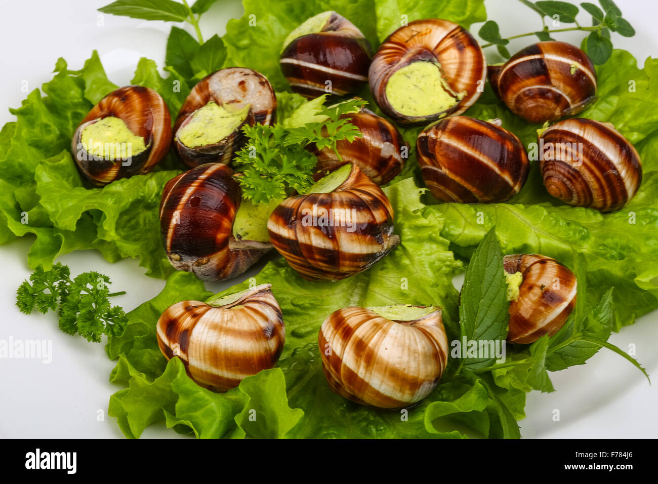 Escargot with parsley butter - served salad and mint leaves Stock Photo ...