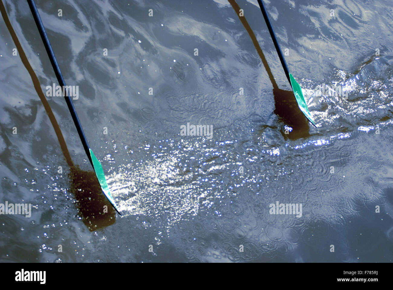 Rowing oars in water hi-res stock photography and images - Alamy