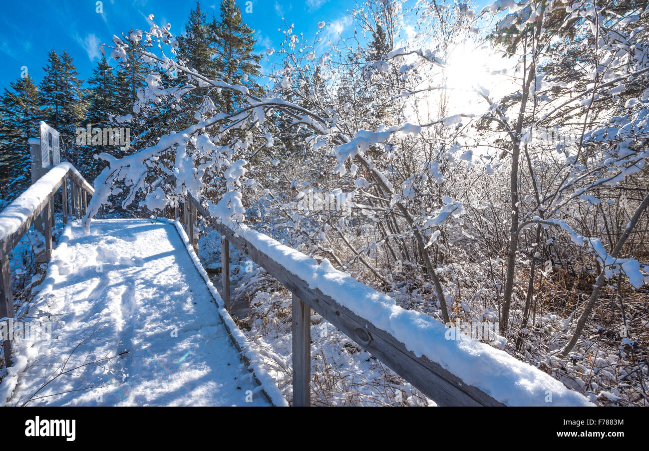 Frosted flakes of snow on a foot bridge in a winter woods. Fresh fallen ...