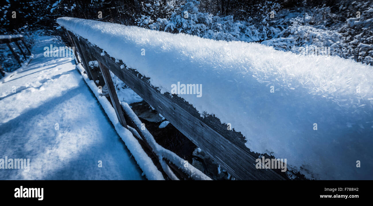 Frosted flakes - Snow flakes covered in large frost crystals Stock ...