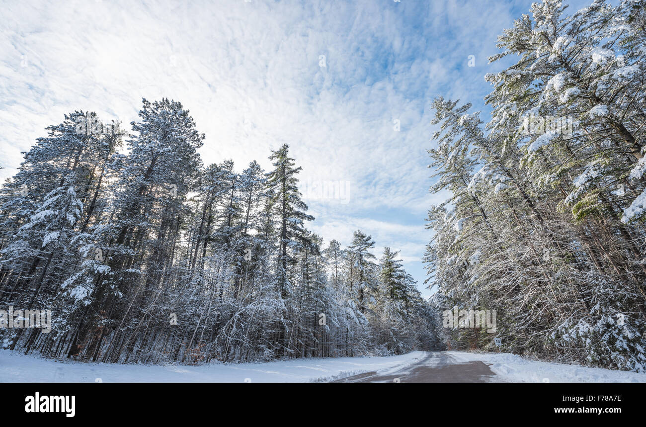 Angle tall clear natural hi-res stock photography and images - Alamy