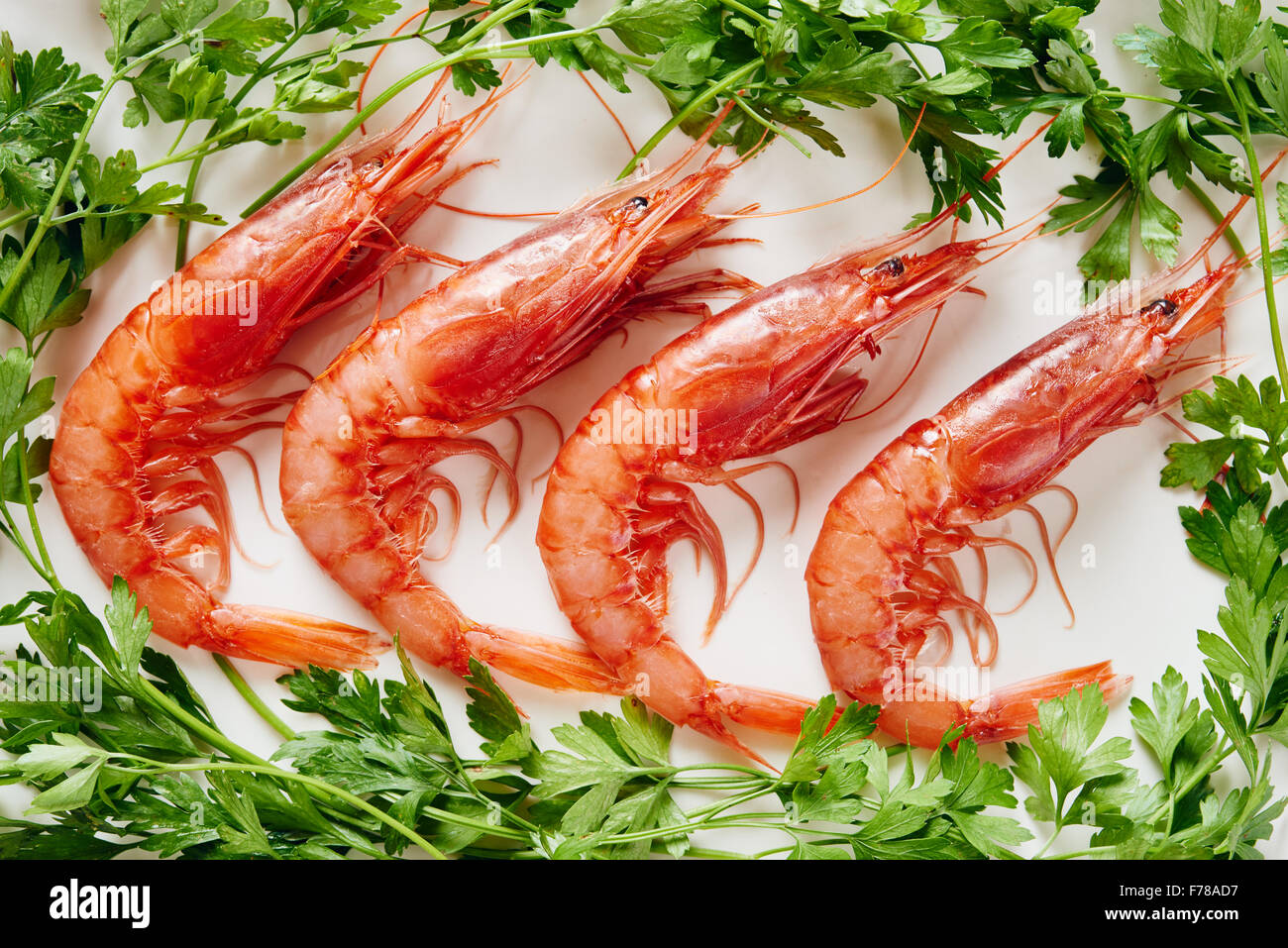 Seafood raw red prawns hi-res stock photography and images - Alamy