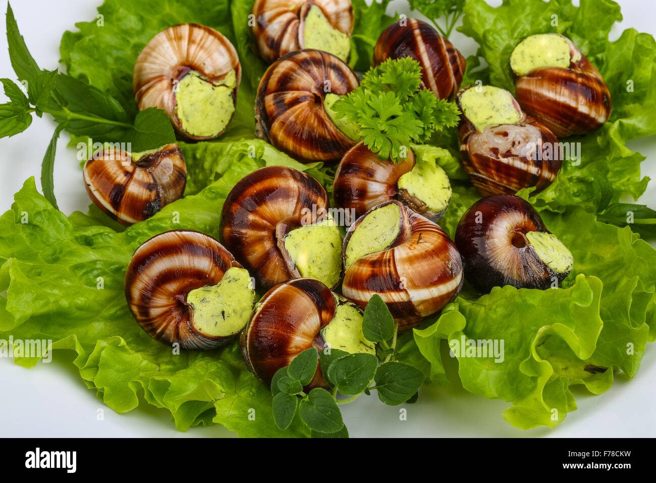 Escargot with parsley butter - served salad and mint leaves Stock Photo ...