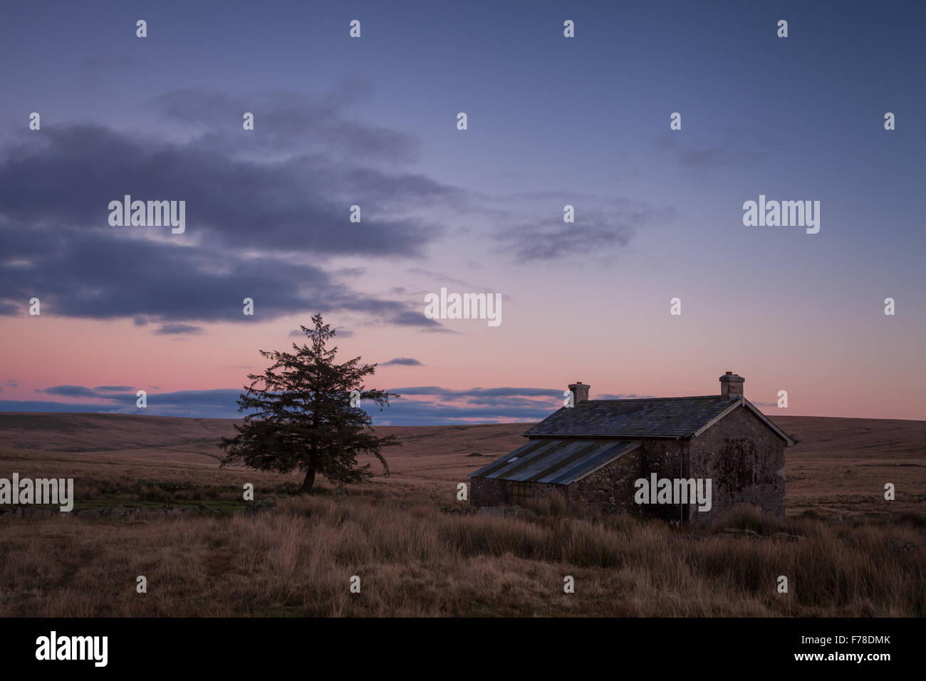 Nun's Cross Farm on Dartmoor National Park, Devon, UK at dusk with ...