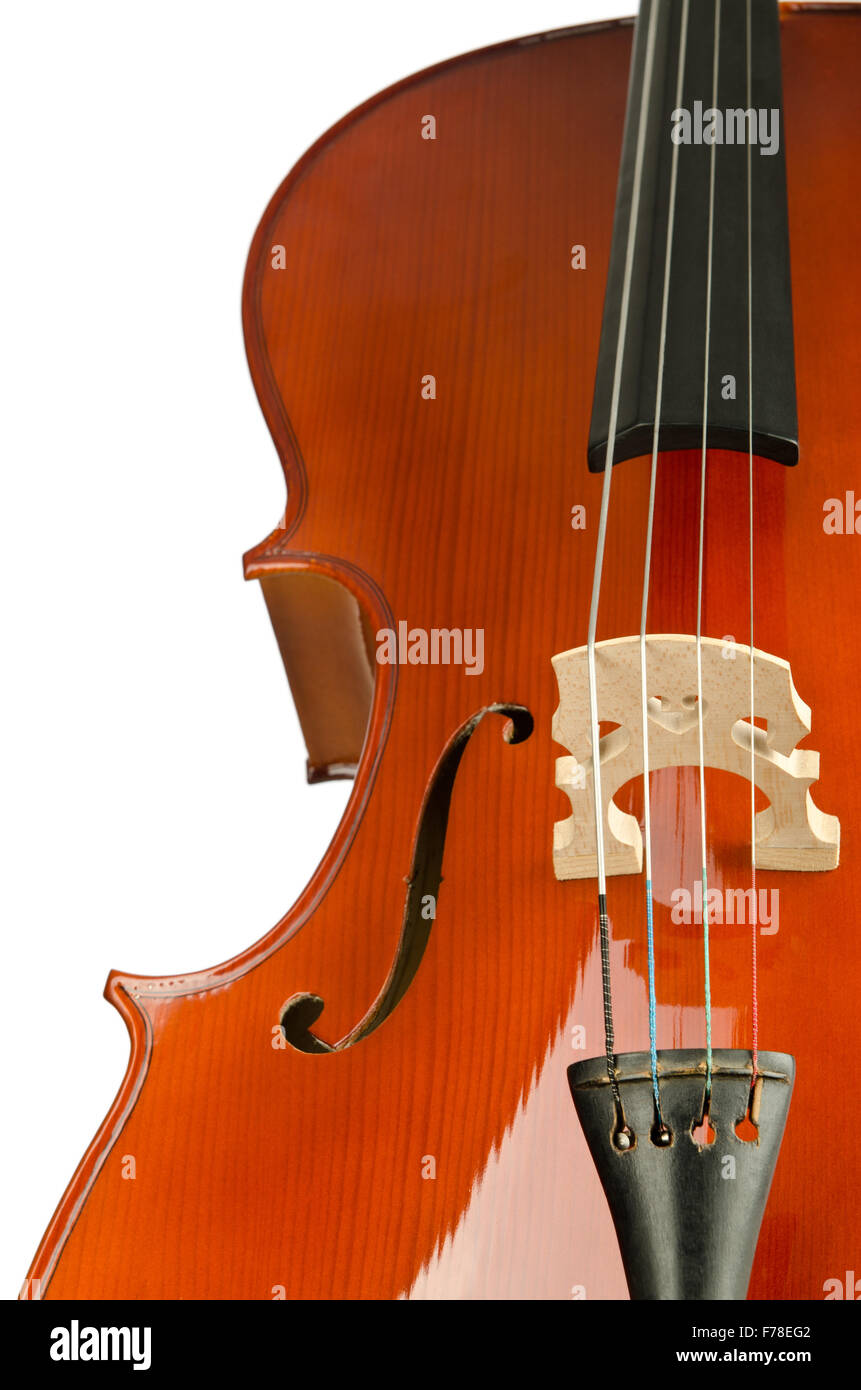 Viola isolated on the white background Stock Photo - Alamy