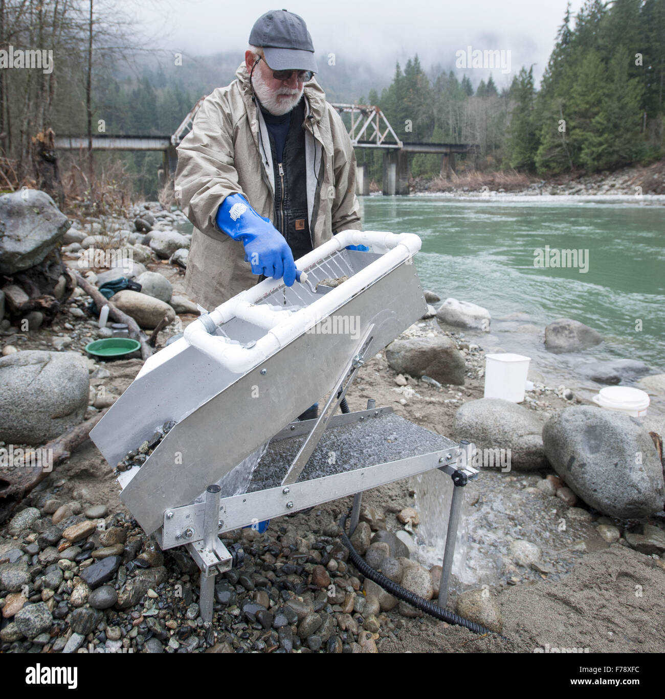 Gold Bar, Washingtion, USA. 24th Nov, 2015. A gold prospector works ...