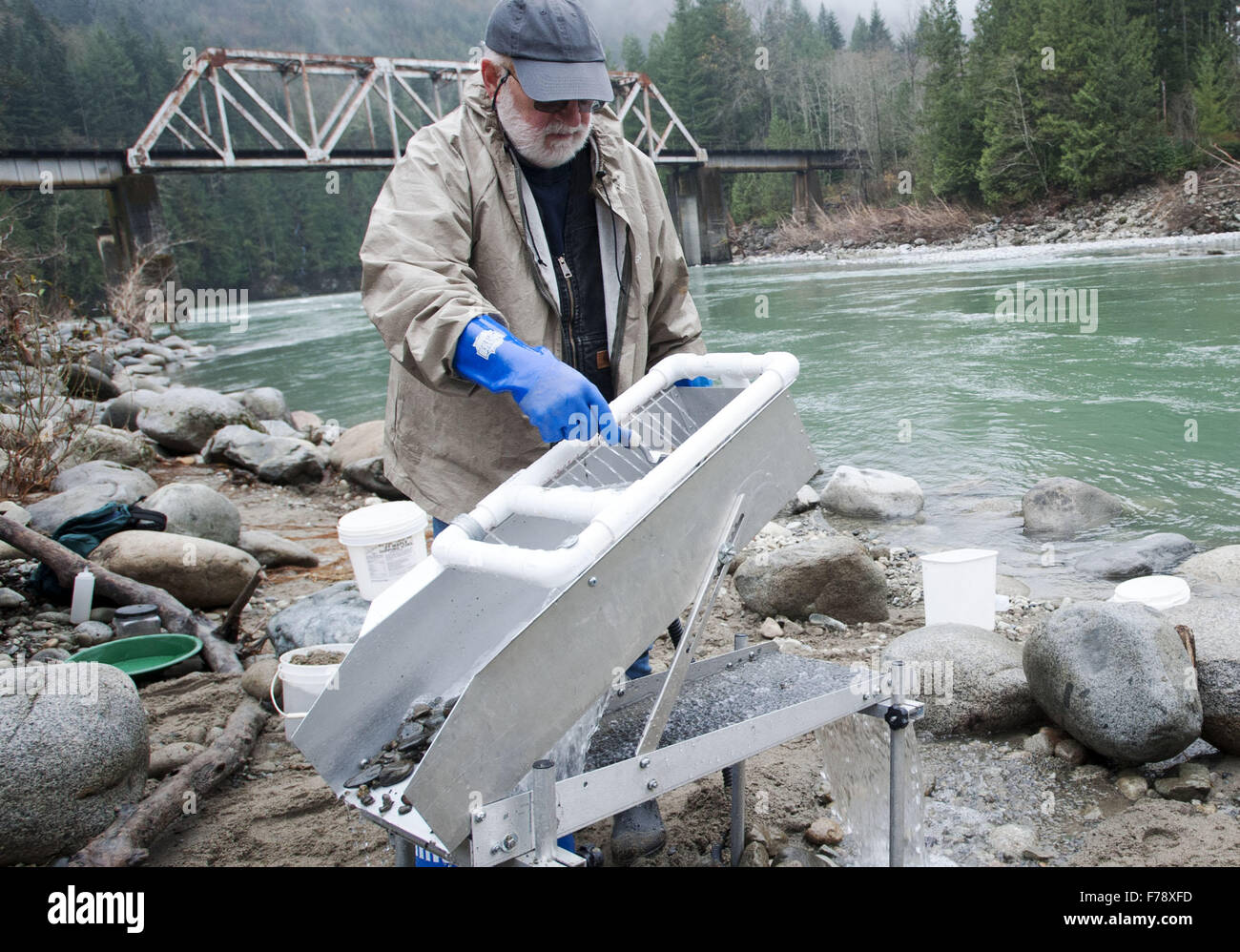 Gold Bar, Washingtion, USA. 24th Nov, 2015. A gold prospector works ...