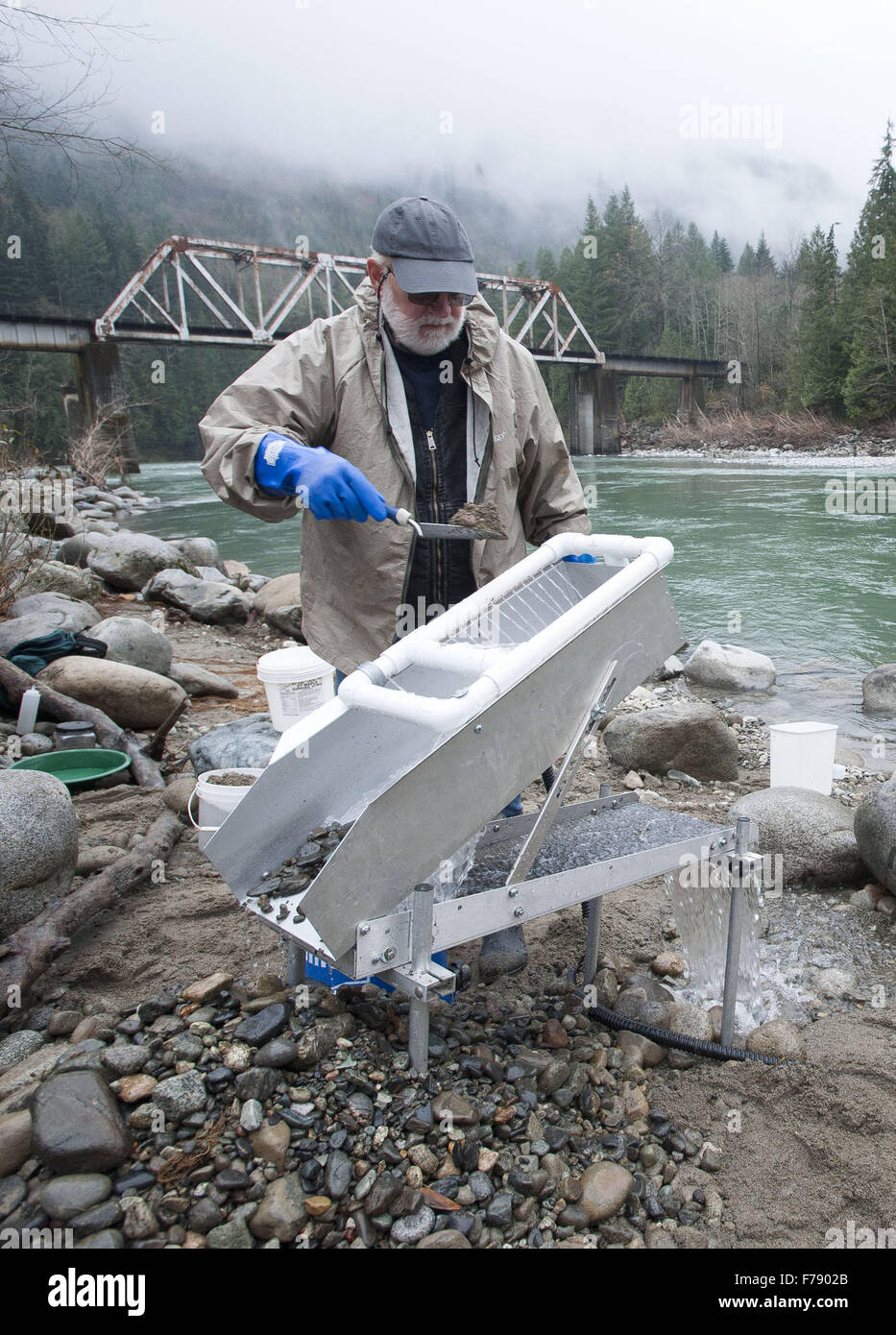 Gold Bar, Washingtion, USA. 24th Nov, 2015. A gold prospector works ...