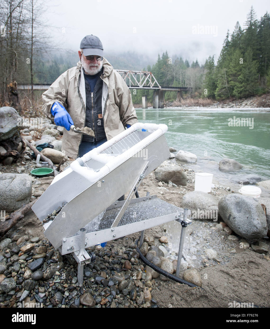Gold Bar, Washingtion, USA. 24th Nov, 2015. A gold prospector works ...