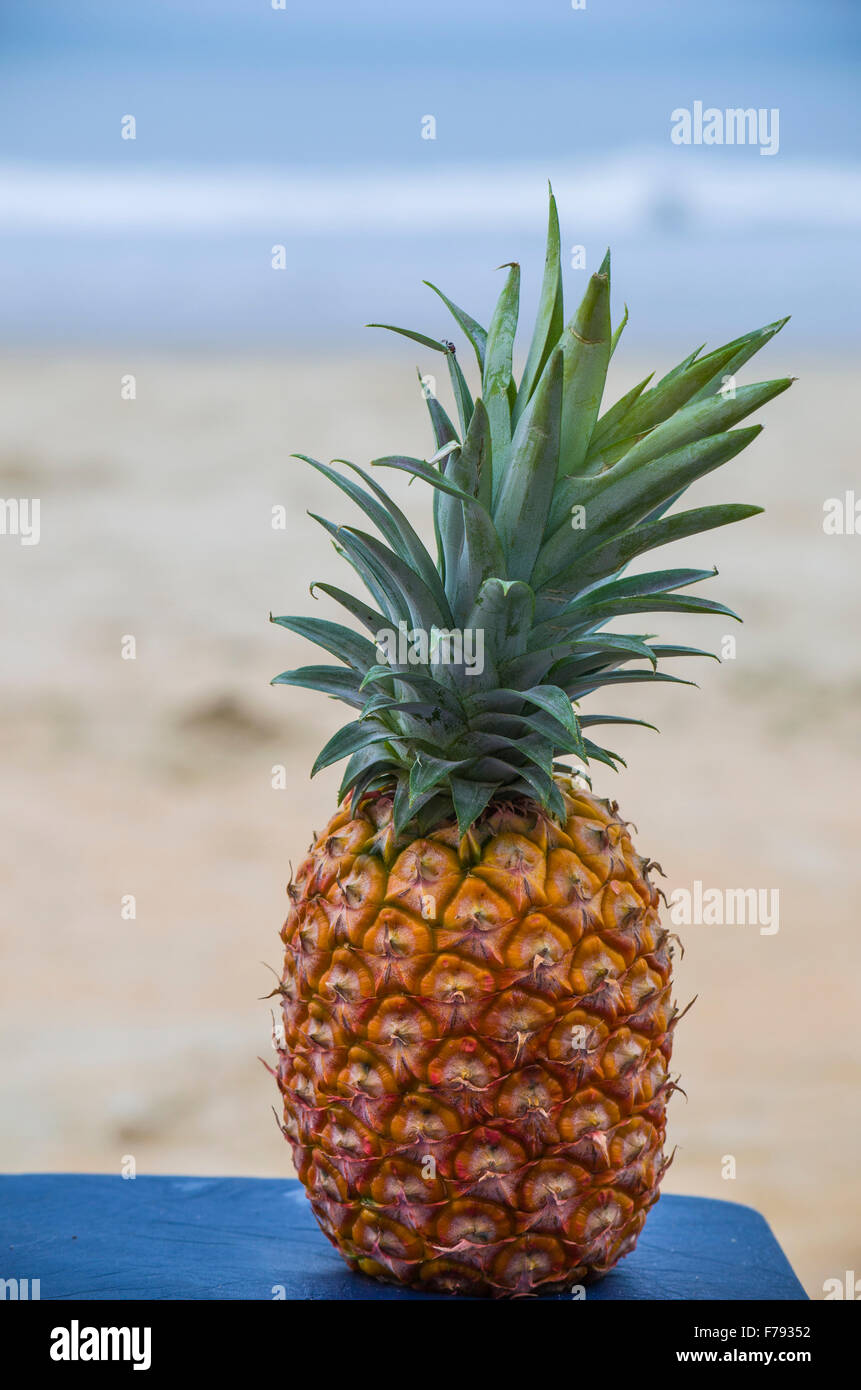pineapple against sand and the sea Stock Photo - Alamy