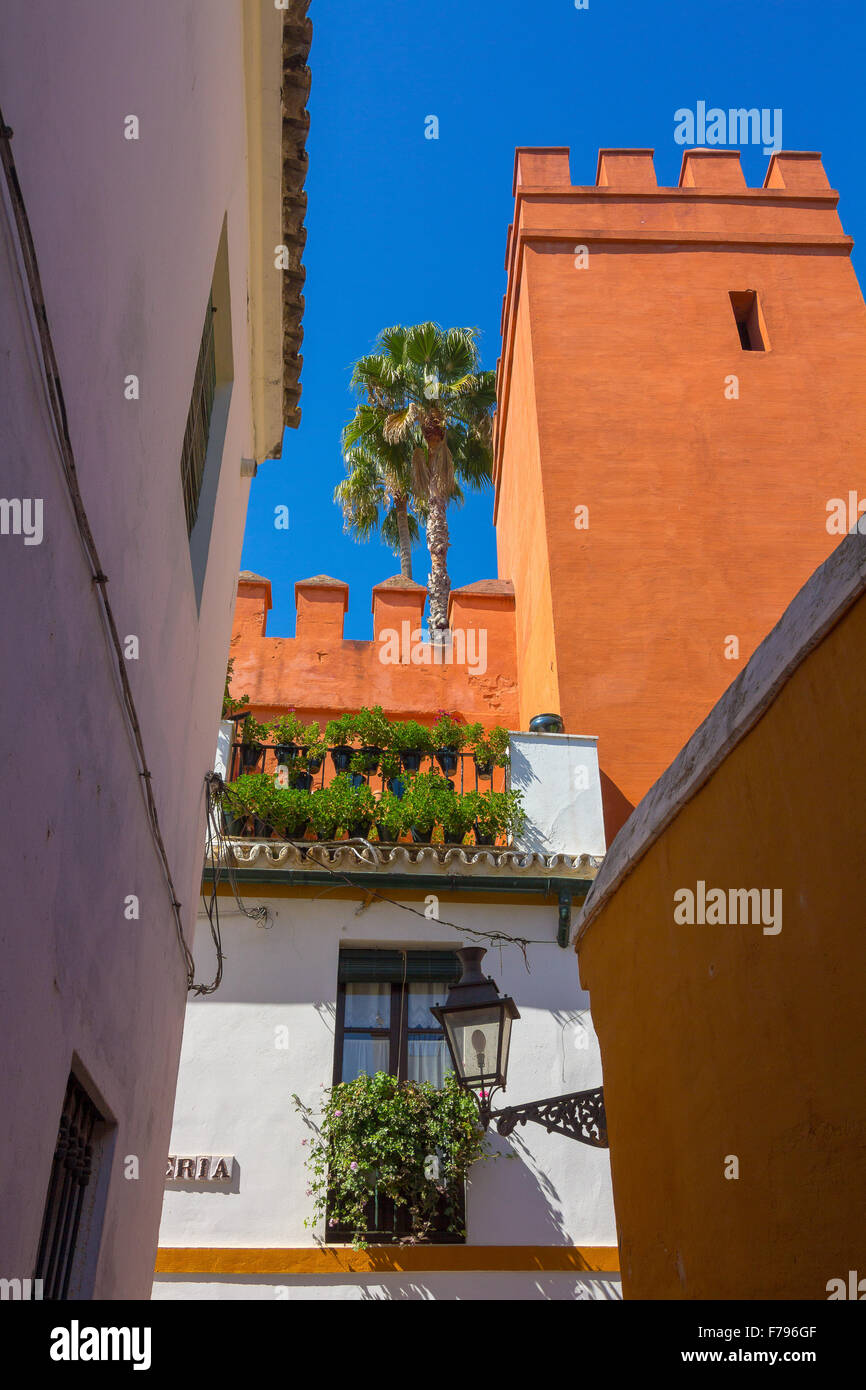beautiful streets full of typical color of the Andalusian city of ...