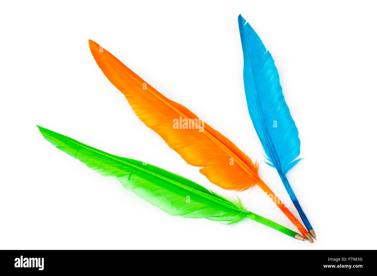 Writing feather isolated on the white background Stock Photo - Alamy