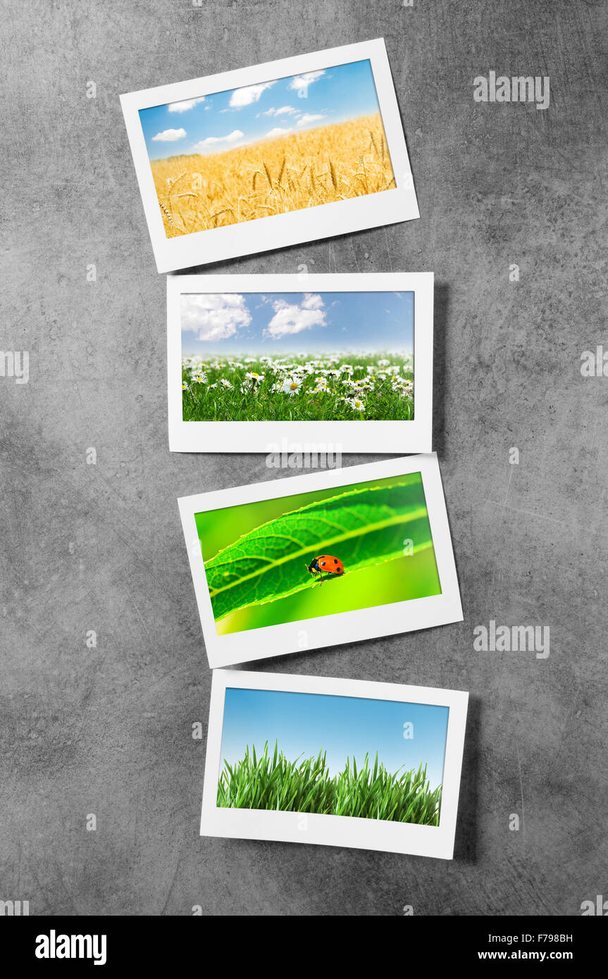 Nature photos in picture frames Stock Photo - Alamy