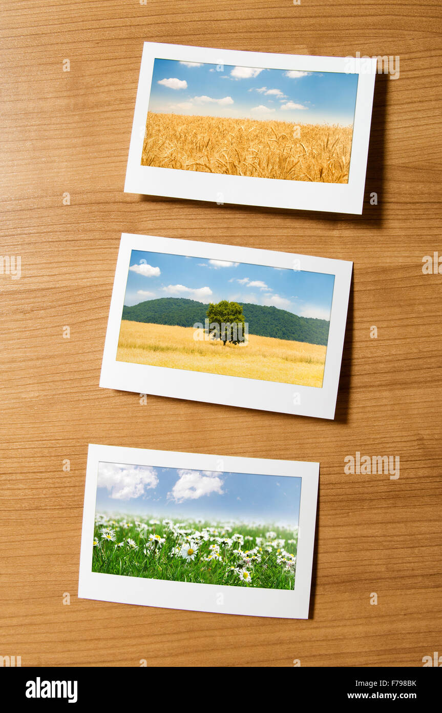 Picture frames with nature photos Stock Photo - Alamy