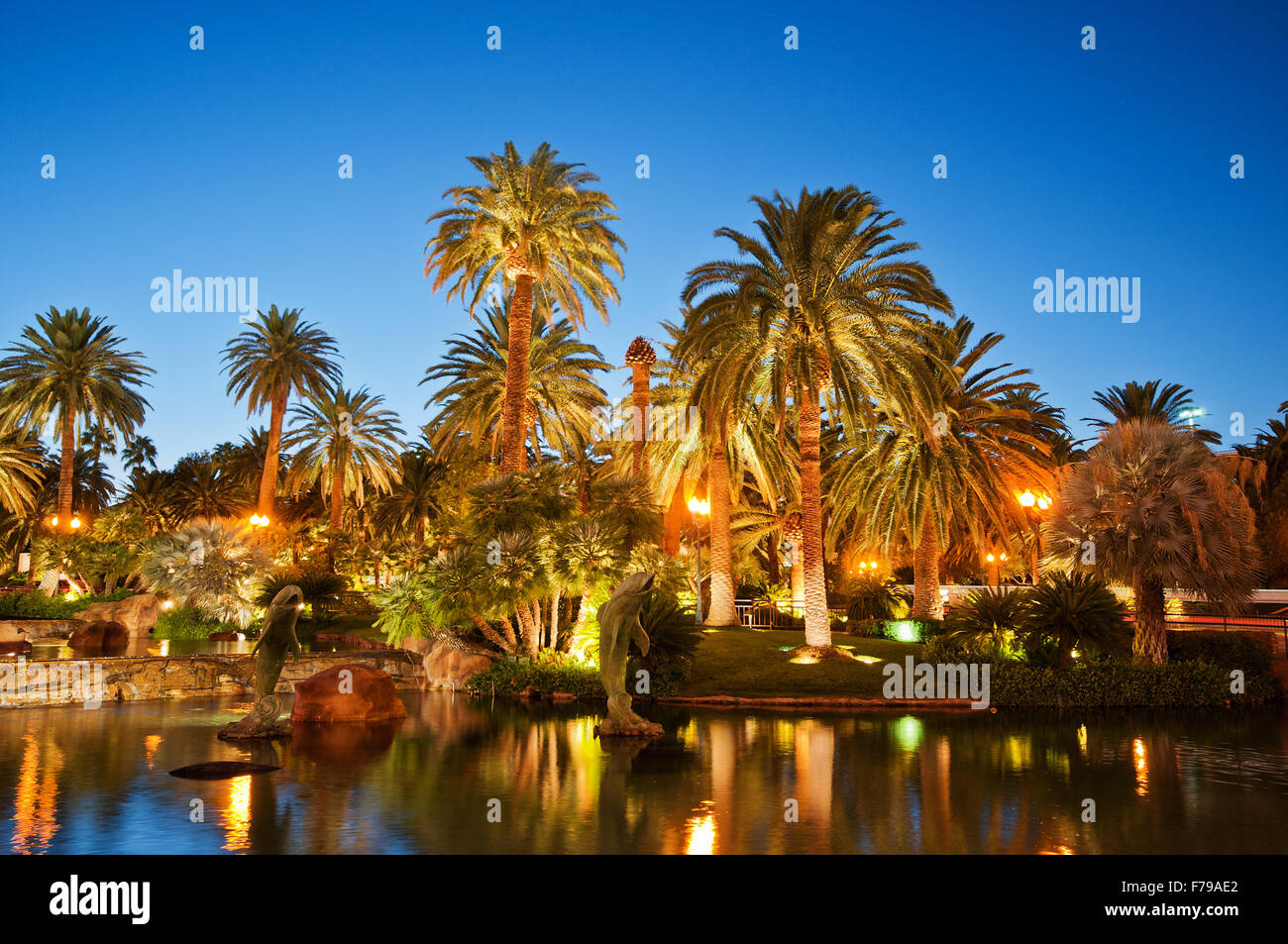 Palm trees during sunset Stock Photo - Alamy