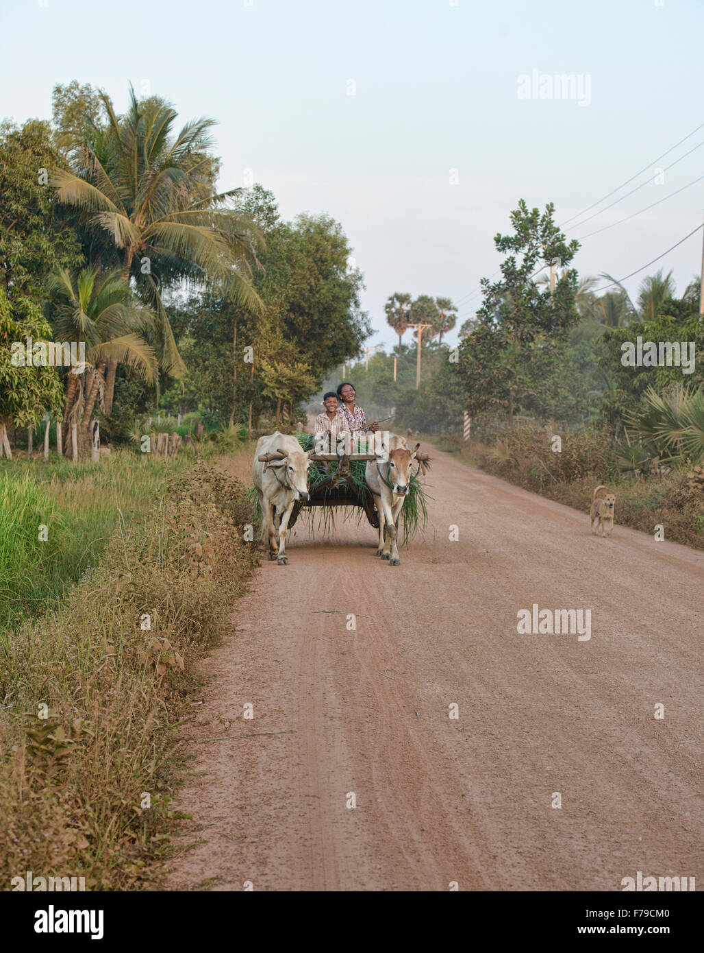 Cattle cart hi-res stock photography and images - Alamy