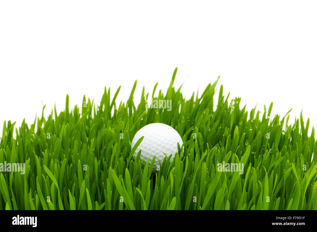 Golf ball on the green grass Stock Photo - Alamy