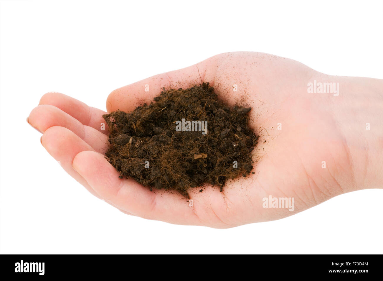 Hand holding handful of soil isolated on white Stock Photo - Alamy