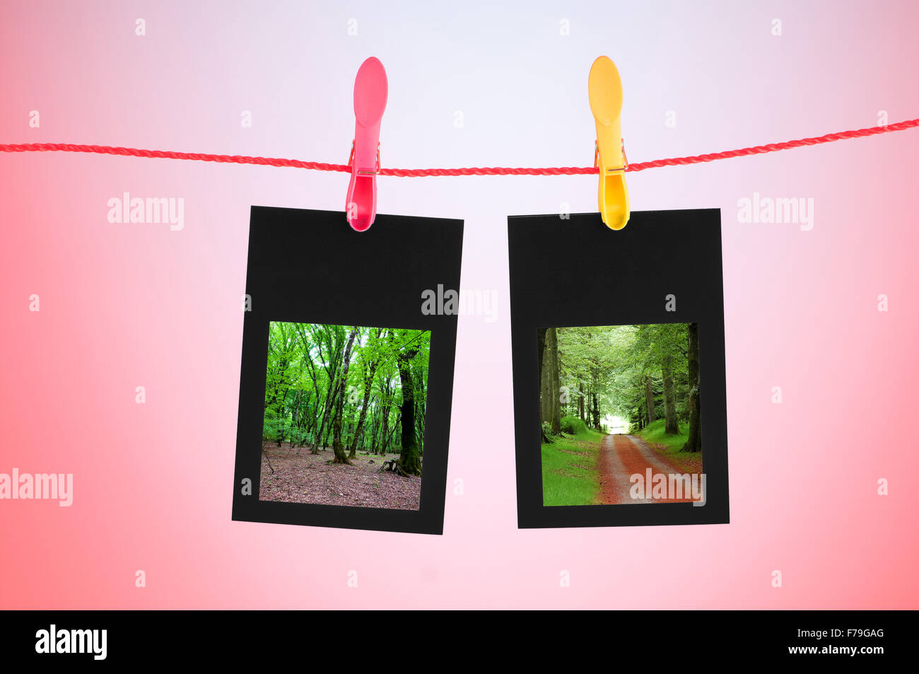 Picture frames with nature photos Stock Photo - Alamy