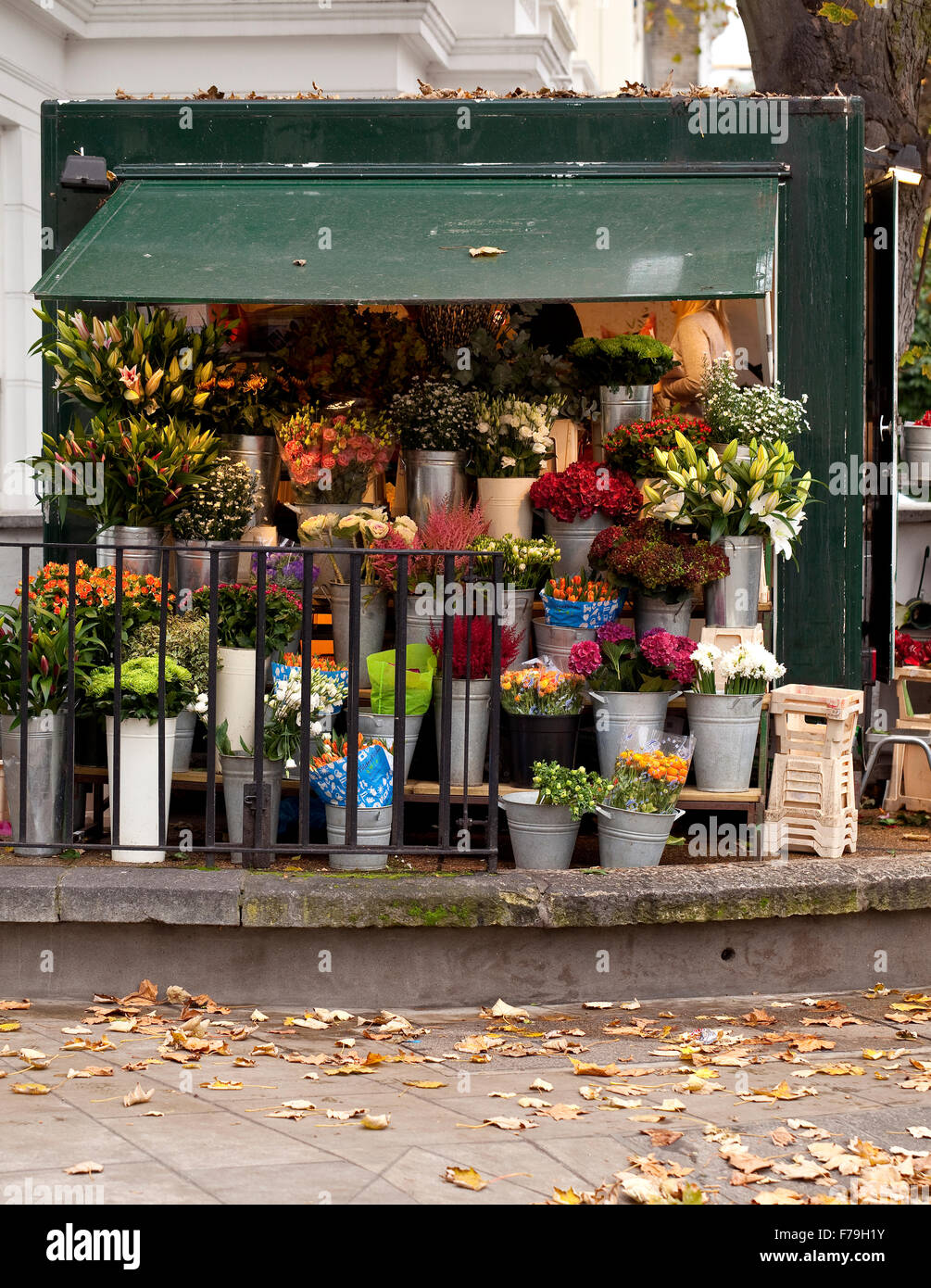 Street Florist. A florist uses the corner of a street to sell their ...