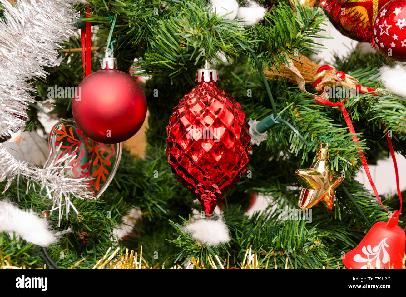 Cotton ball tree hi-res stock photography and images - Alamy