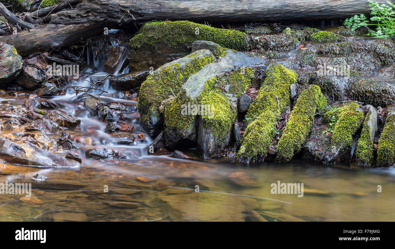 running water between the rocks in a creek Stock Photo - Alamy