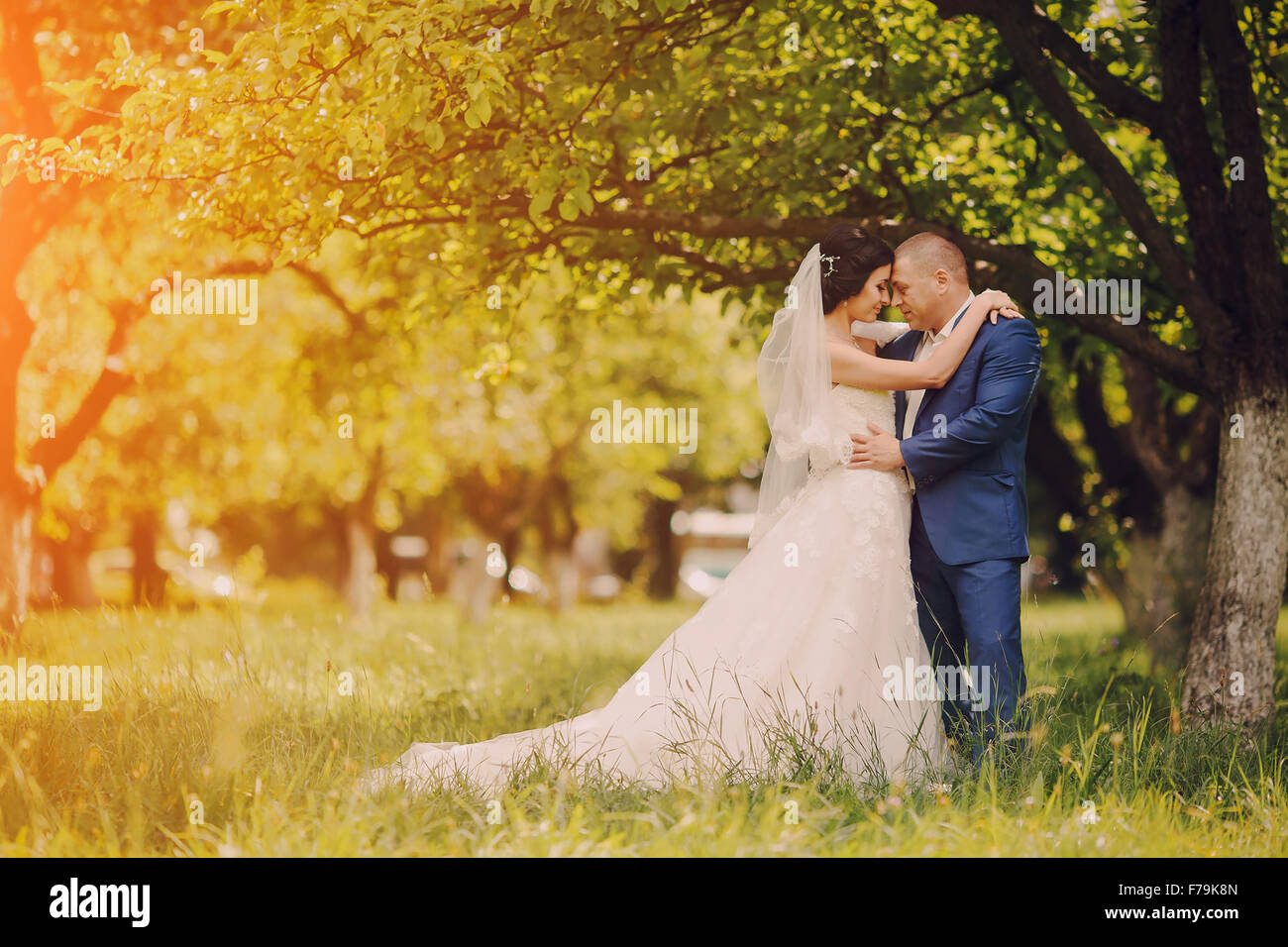 wedding couple HD Stock Photo - Alamy