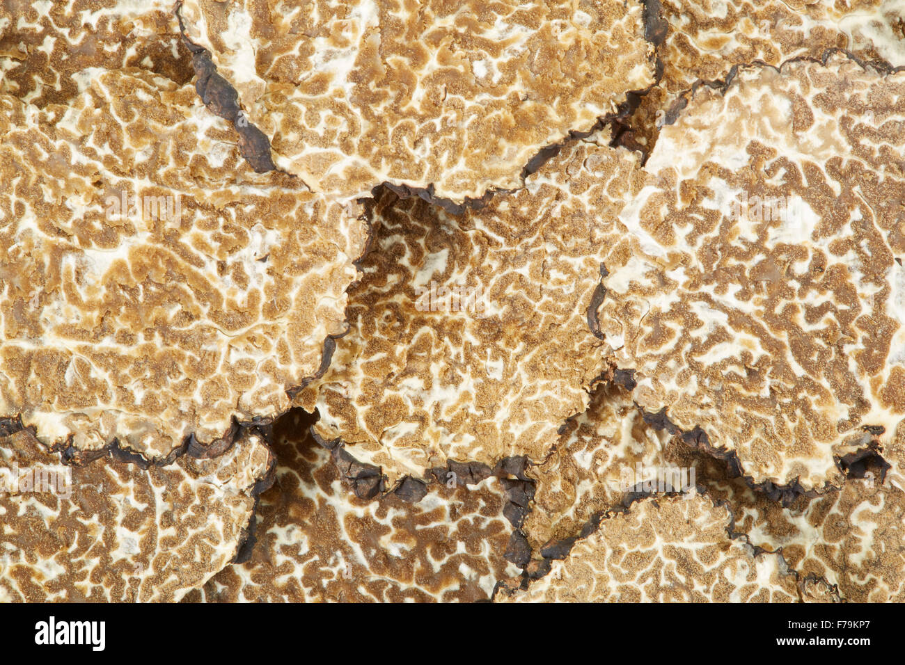Black truffles slices texture background Stock Photo - Alamy