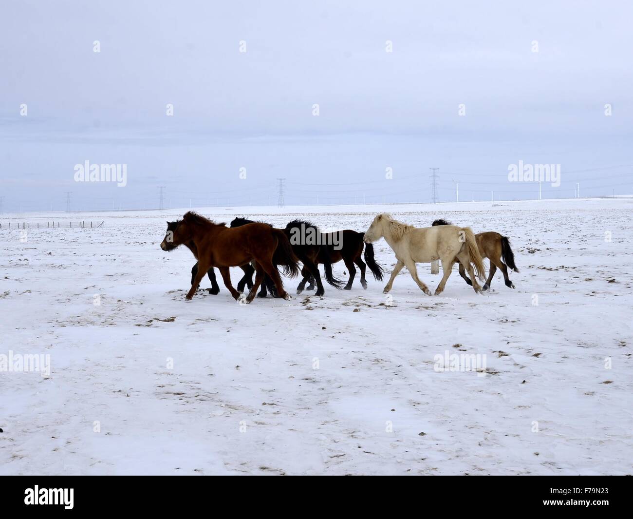 Bayannur chinas inner mongolia autonomous hi-res stock photography and ...