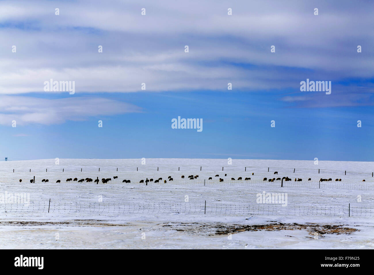 Bayannur chinas inner mongolia autonomous hi-res stock photography and ...