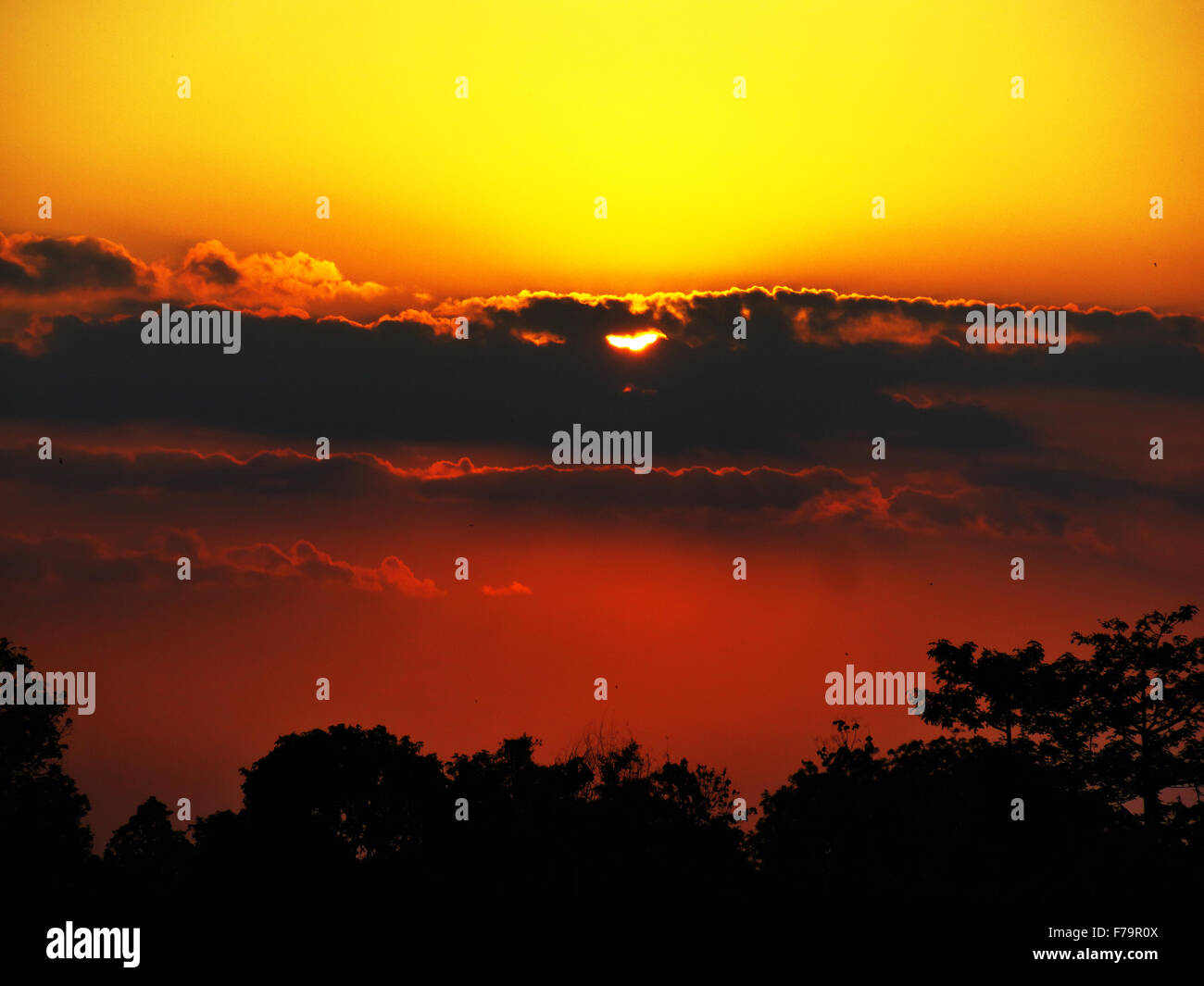 Sunset in countryside trees hi-res stock photography and images - Alamy