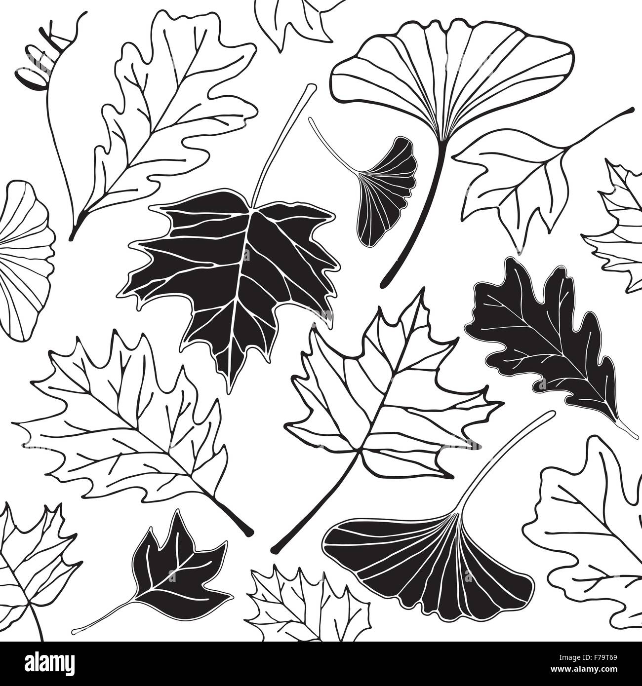 autumn leaf hand drawn doodle illustration black line on white ...