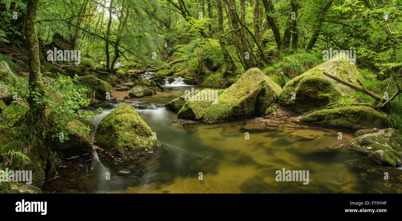 Stunning landscape of river flowing through lush forest Golitha Falls ...