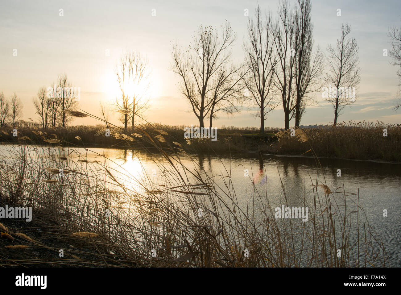river at dawn Stock Photo - Alamy