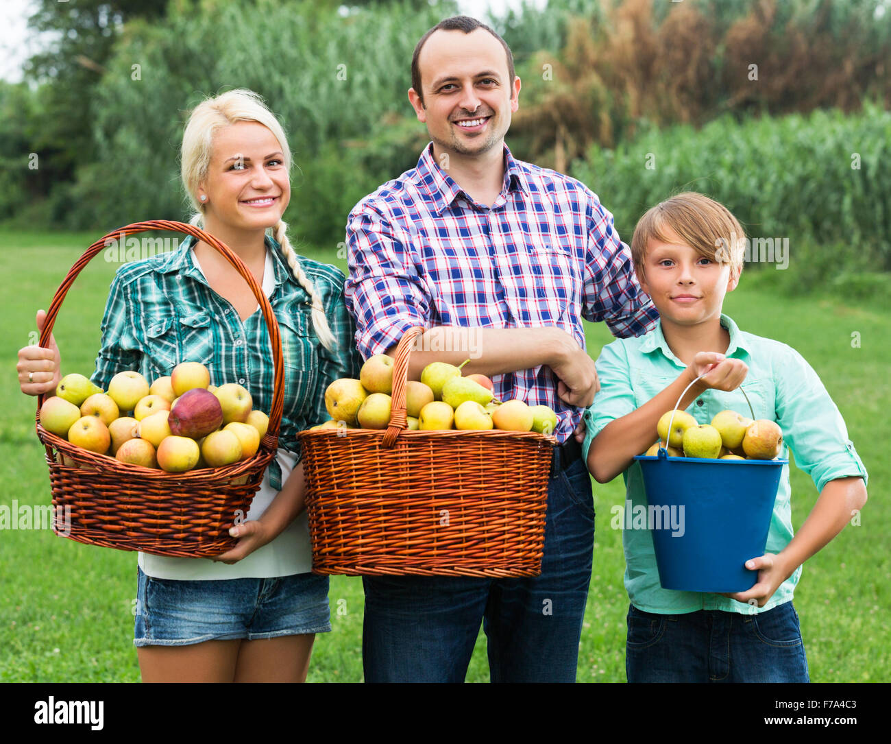 Portrait of family harvesting apples in summer garden Stock Photo - Alamy