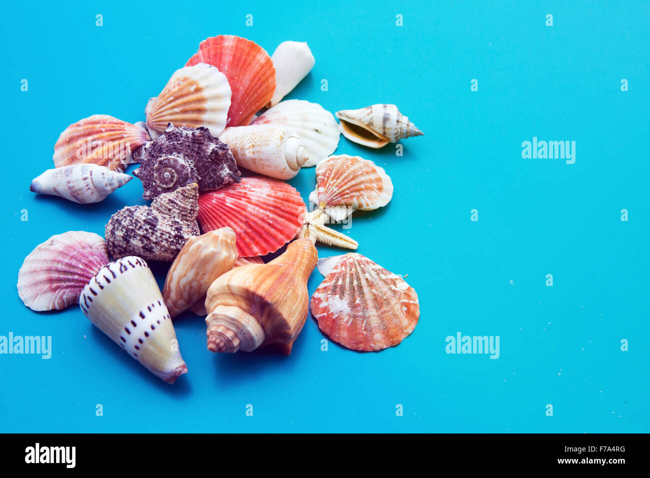 Blue background marine hi-res stock photography and images - Alamy