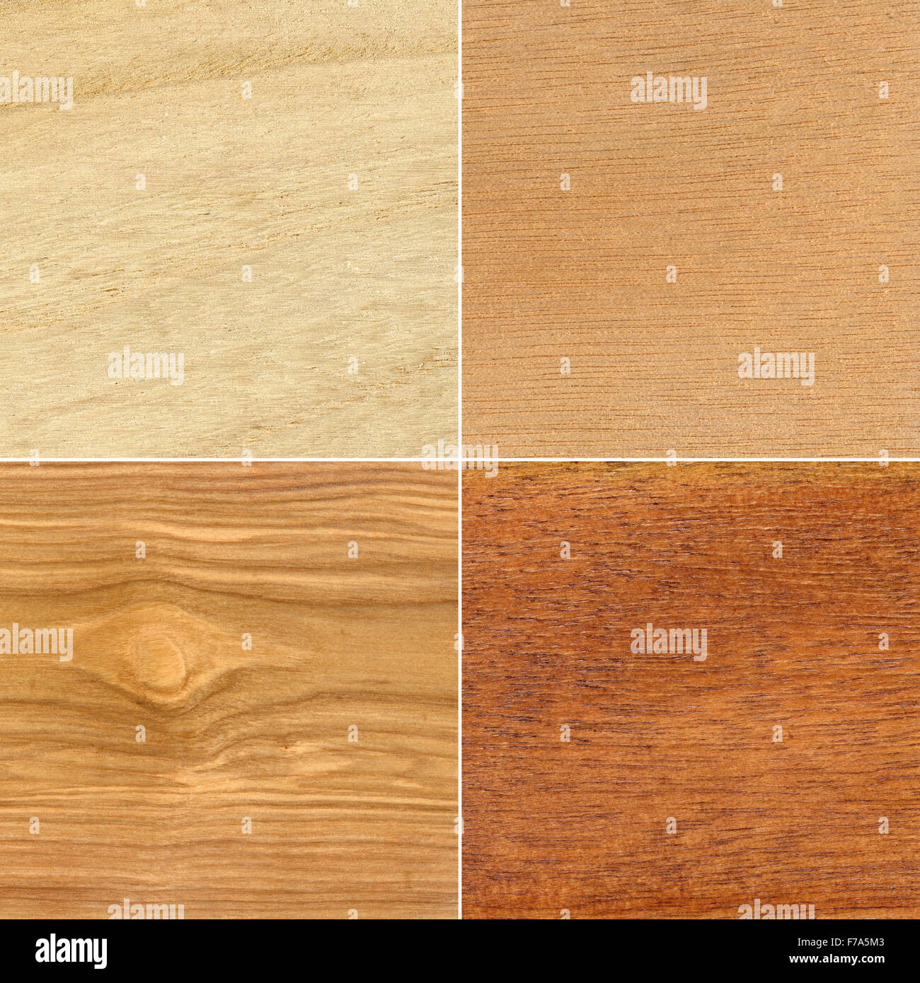 Set of four different wood textures Stock Photo - Alamy