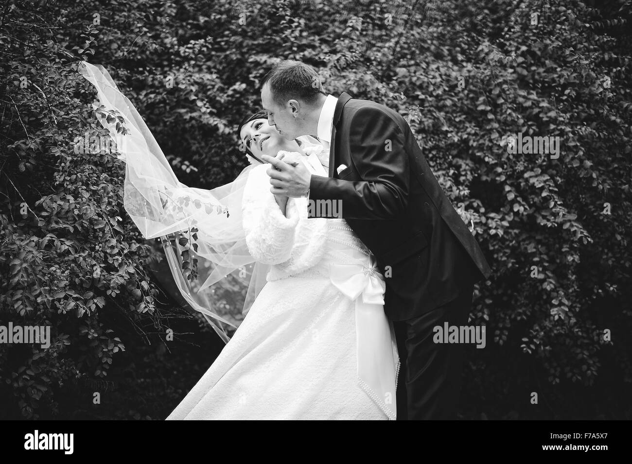 Autumn bouquet white background Black and White Stock Photos & Images ...