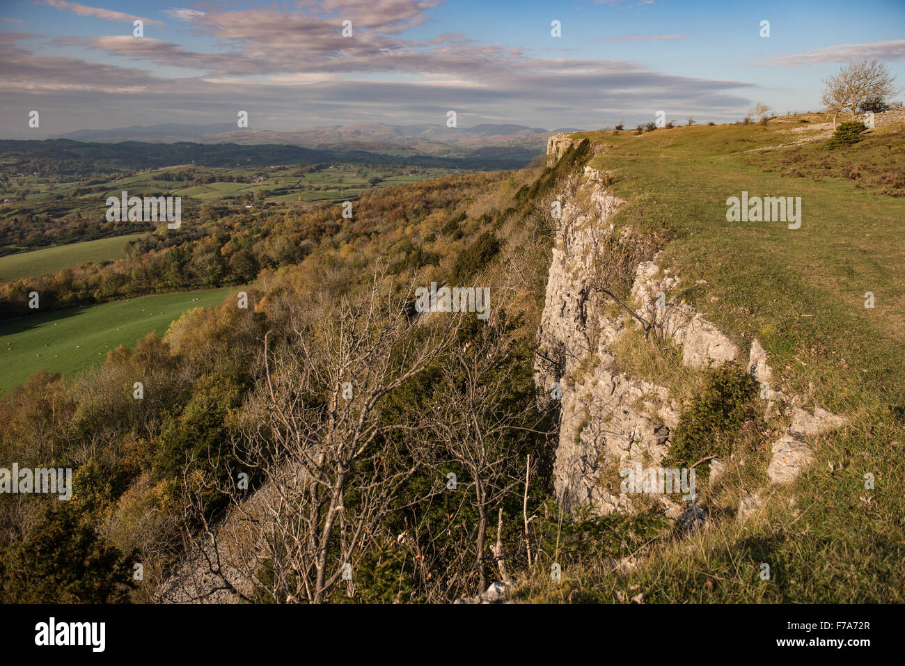 Scout Scar between Kendal and Brigsteer Cumbria Stock Photo - Alamy