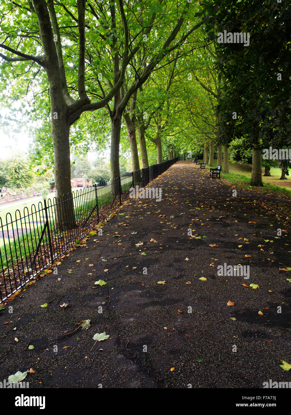 Castle Park in Early Autumn Colchester Essex England Stock Photo - Alamy