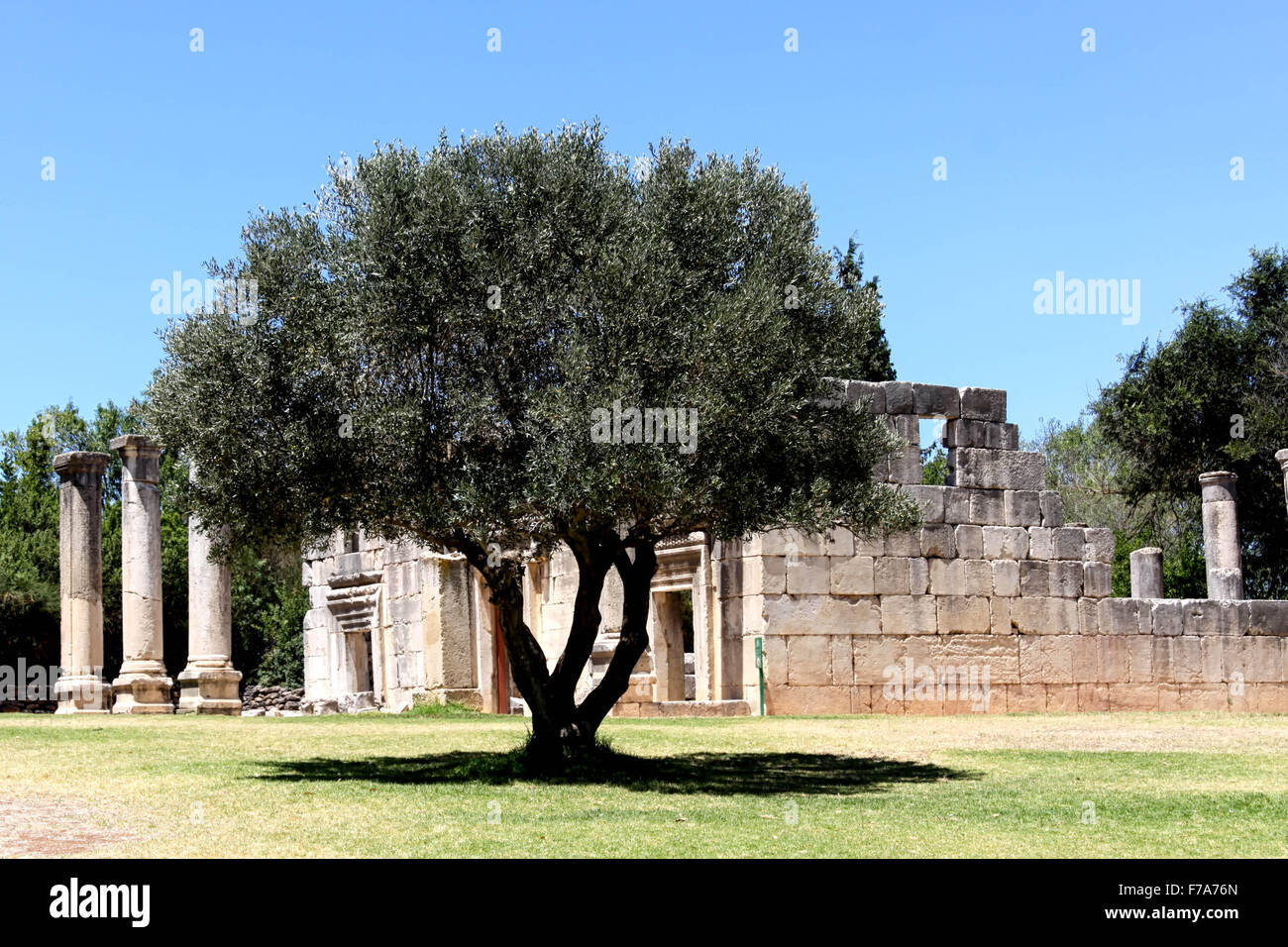Maronite cross hi-res stock photography and images - Alamy