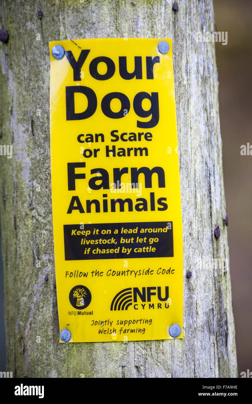 Your dog can scare or harm farm animals keep it on a lead around ...
