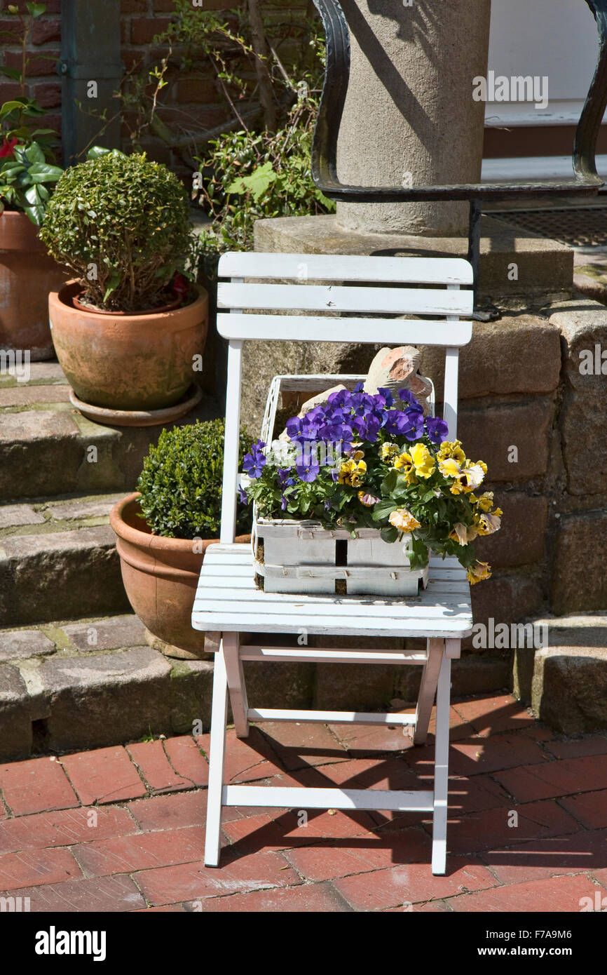 Chair flowers hi-res stock photography and images - Alamy