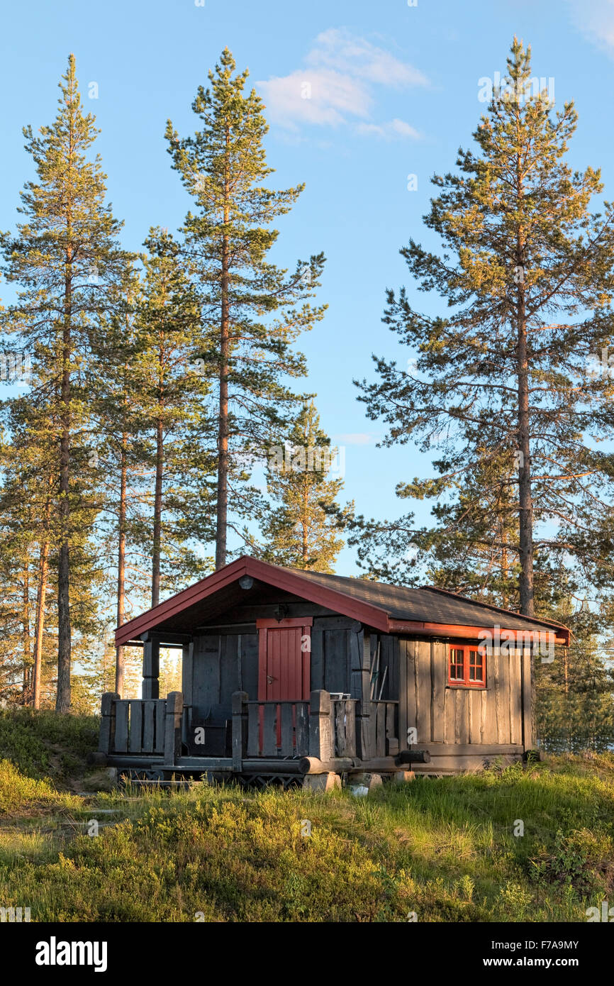 Shack in a forest near Trysil, Norway Stock Photo - Alamy